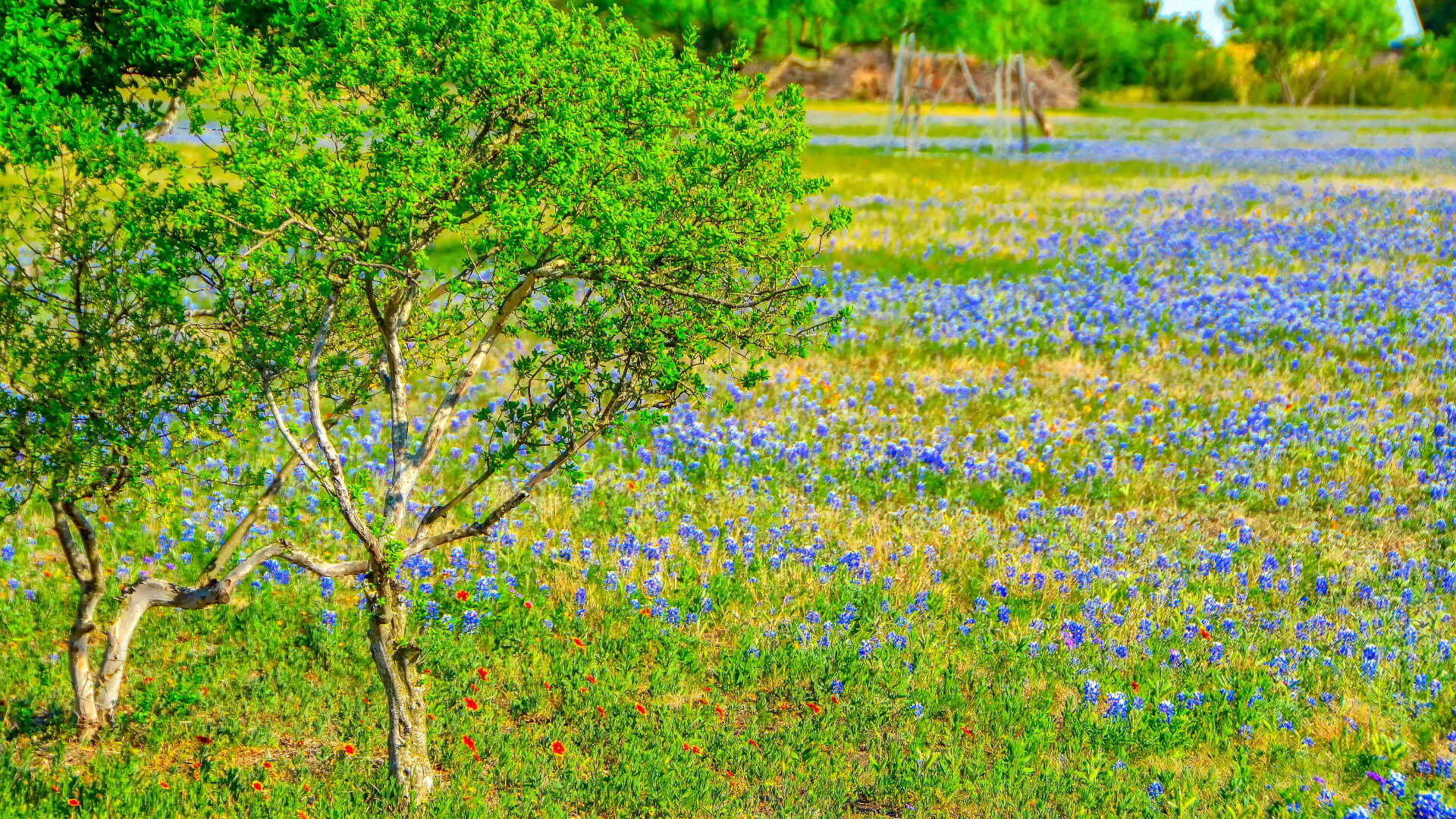 Contact Us - Michael Ros Winery